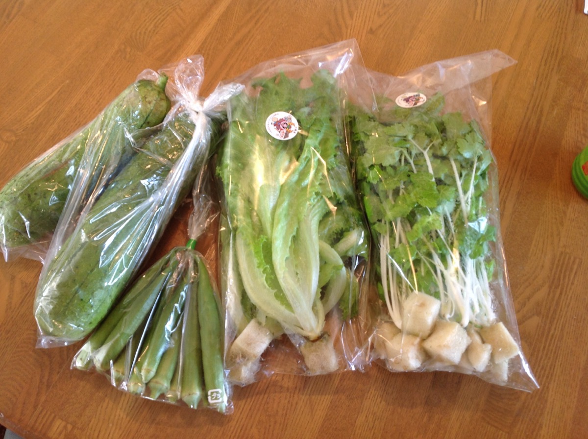 Hechima: ヘチマ – ono okinawa