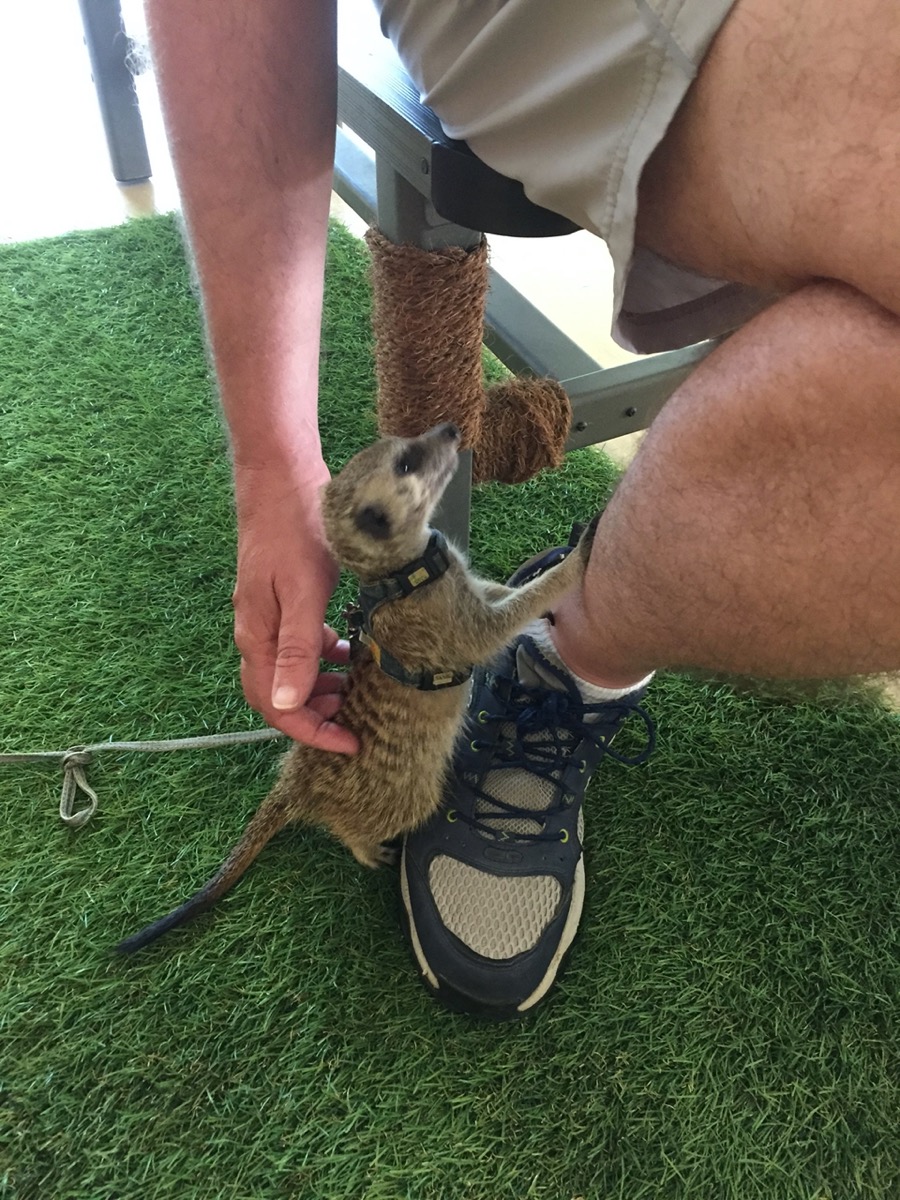 Uchinaa Farm: うちなーファーム – ono okinawa